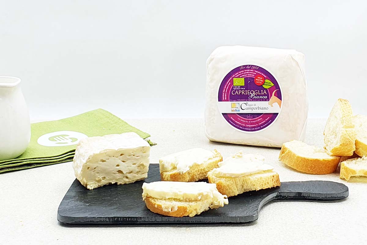 Tuscan organic goat brie cheese | lactose free | goat